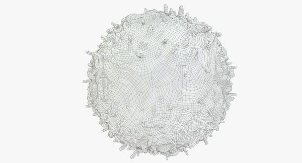 3D white blood cells basophil - TurboSquid 1270552