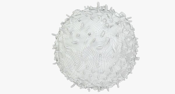 3D white blood cells basophil - TurboSquid 1270552