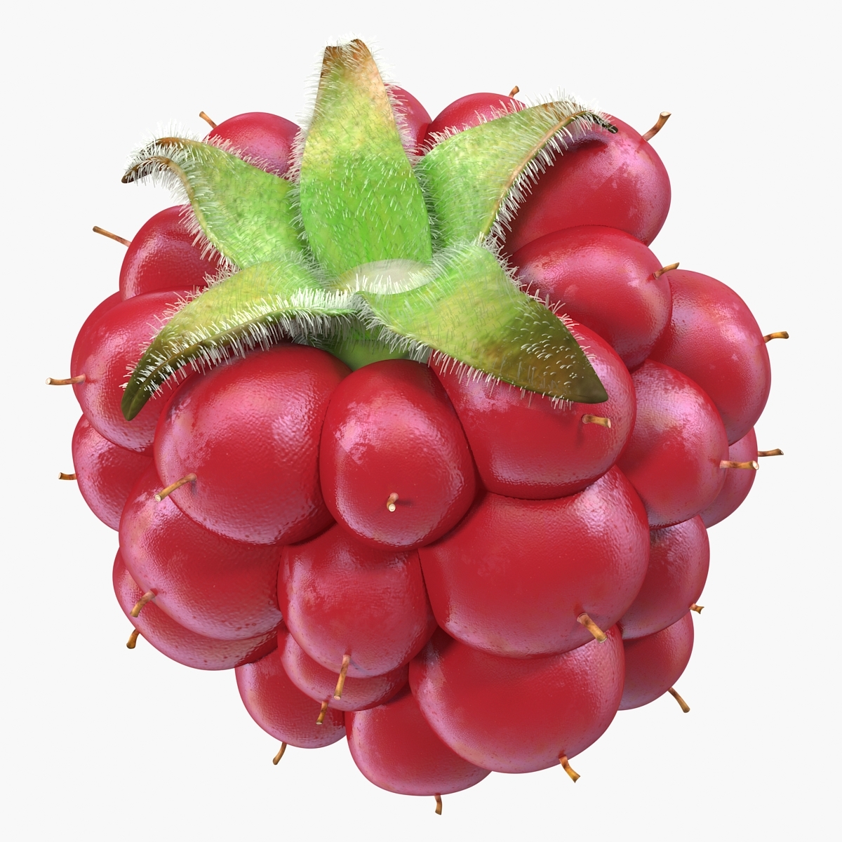 Ripe berry blackberry fur 3D model - TurboSquid 1380408