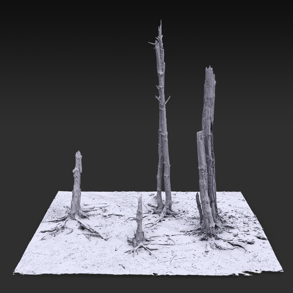 Free 3D Tree-Stump Models | TurboSquid