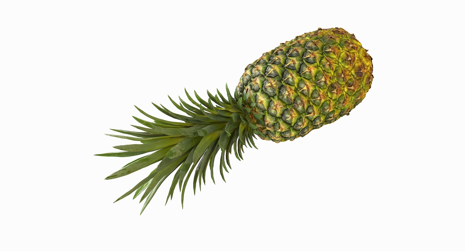 modèle 3D de Ananas entier réaliste - TurboSquid 1381187