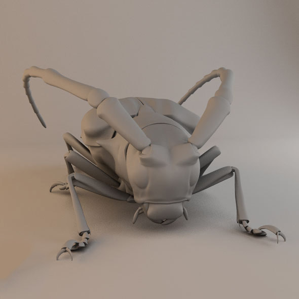 Free 3D model ant - TurboSquid 1339233