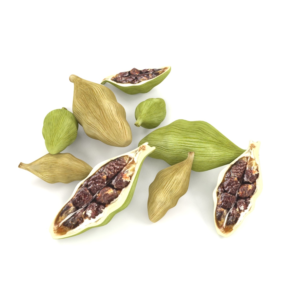 3D cardamom spice plants tree model - TurboSquid 1381209