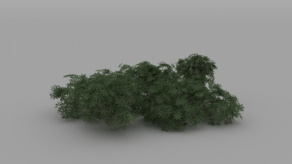 3D shrubs 100 - TurboSquid 1354991