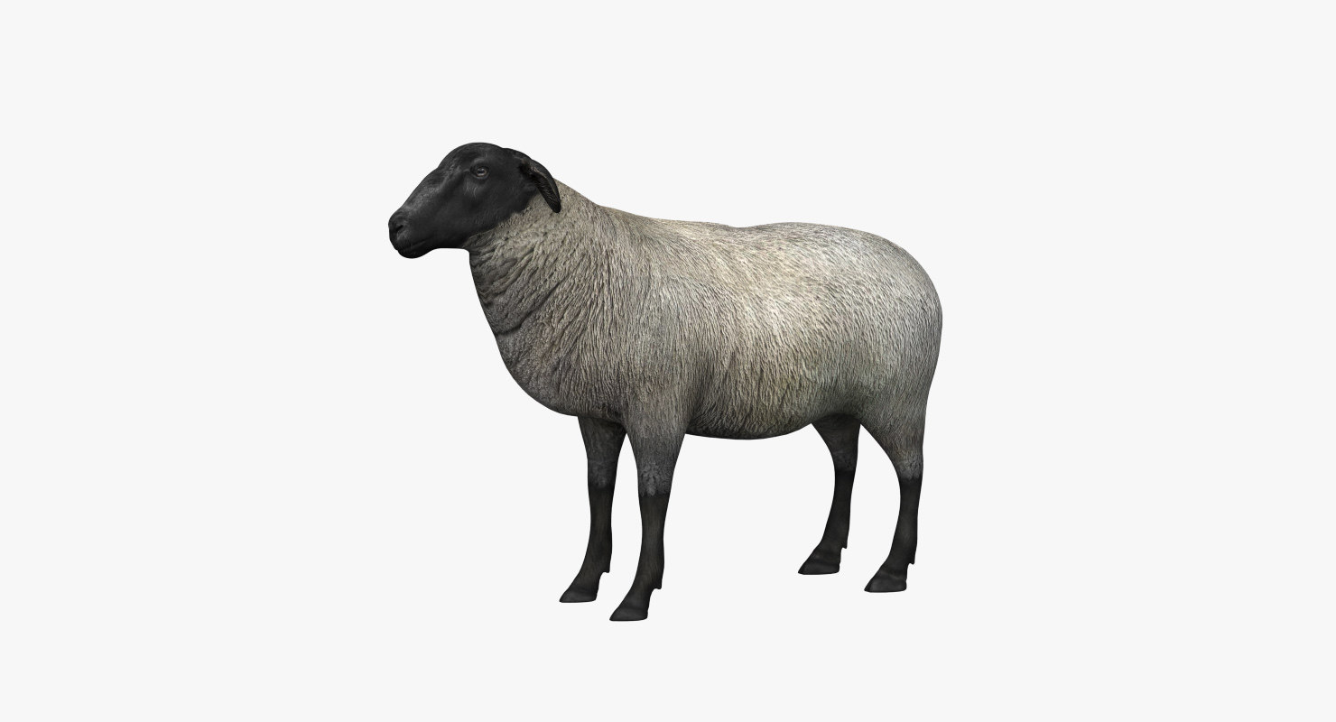 sheep 3d 3ds
