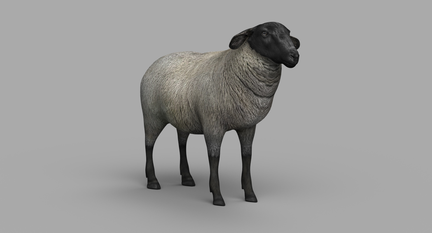 sheep 3d 3ds