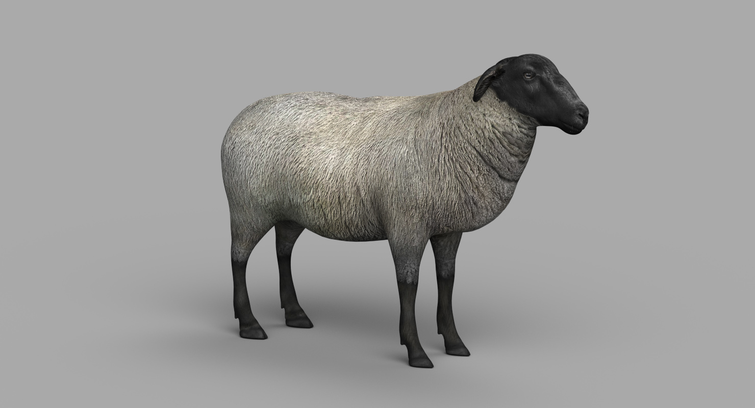 sheep 3d 3ds