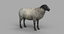 sheep 3d 3ds