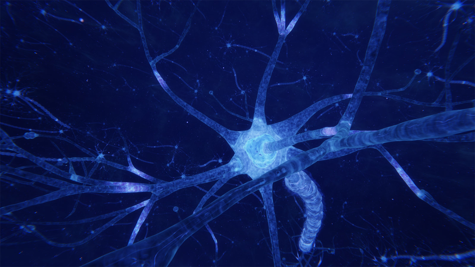 3D neuron transmission - TurboSquid 1382685