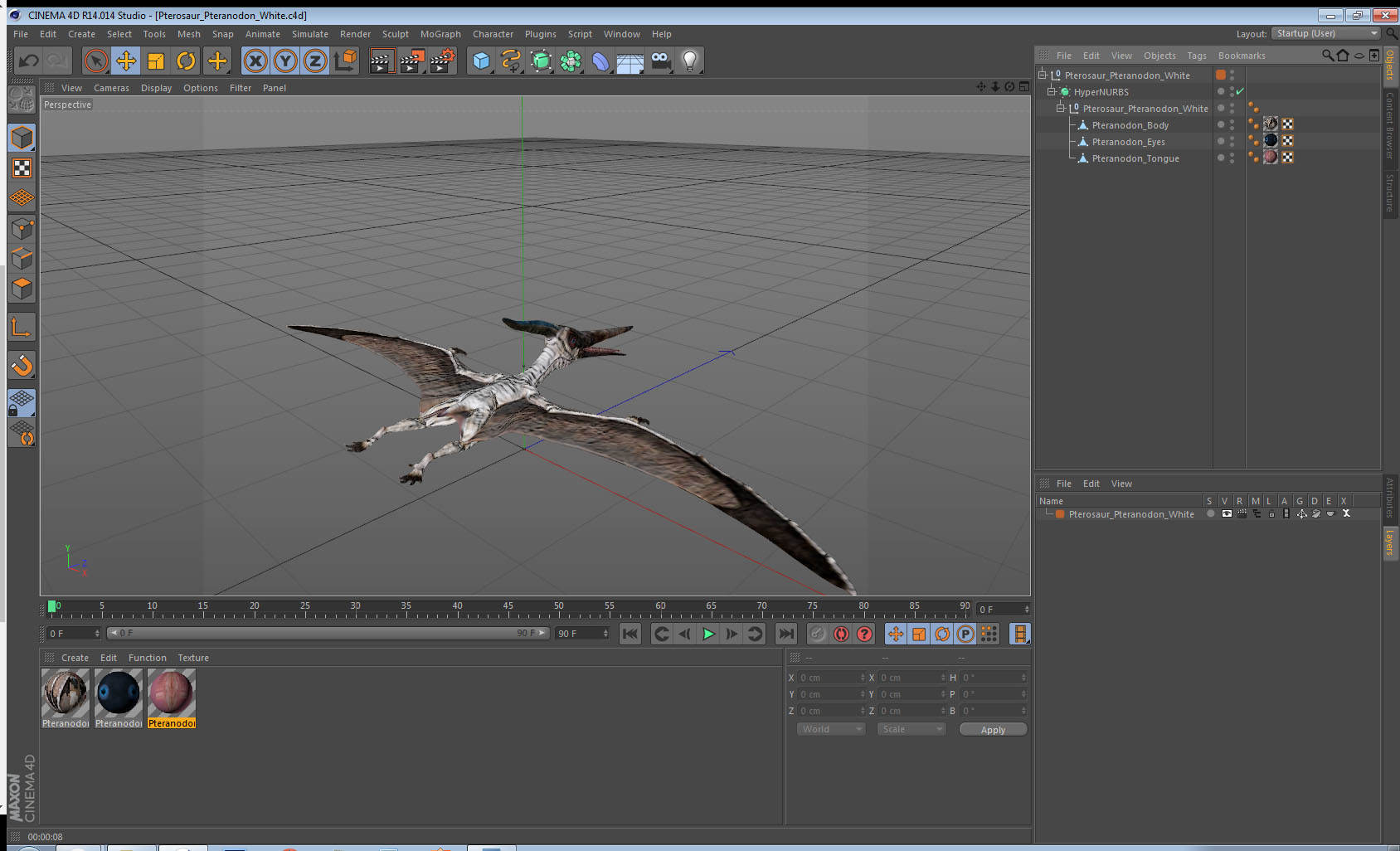 Pterosaur pteranodon white 3D model - TurboSquid 1382880