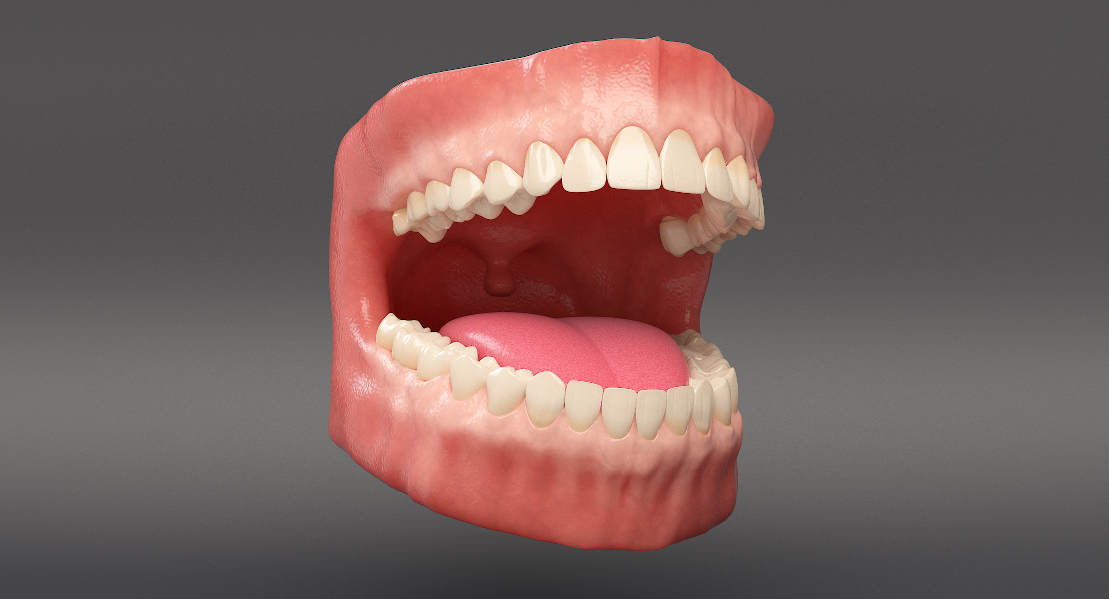 modèle 3D de Anatomie Dentaire - TurboSquid 1347719