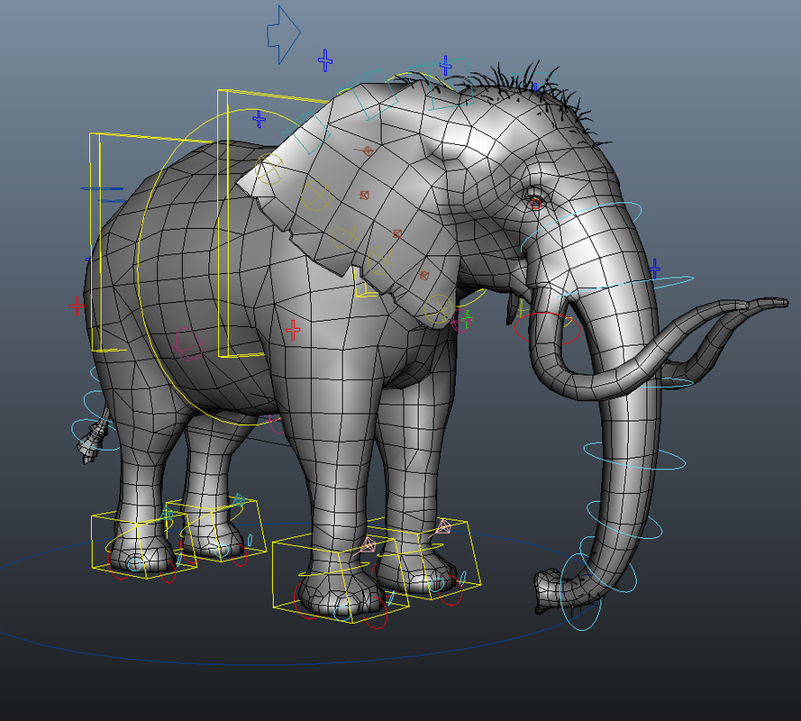 Free elephant rig 3D - TurboSquid 1383252