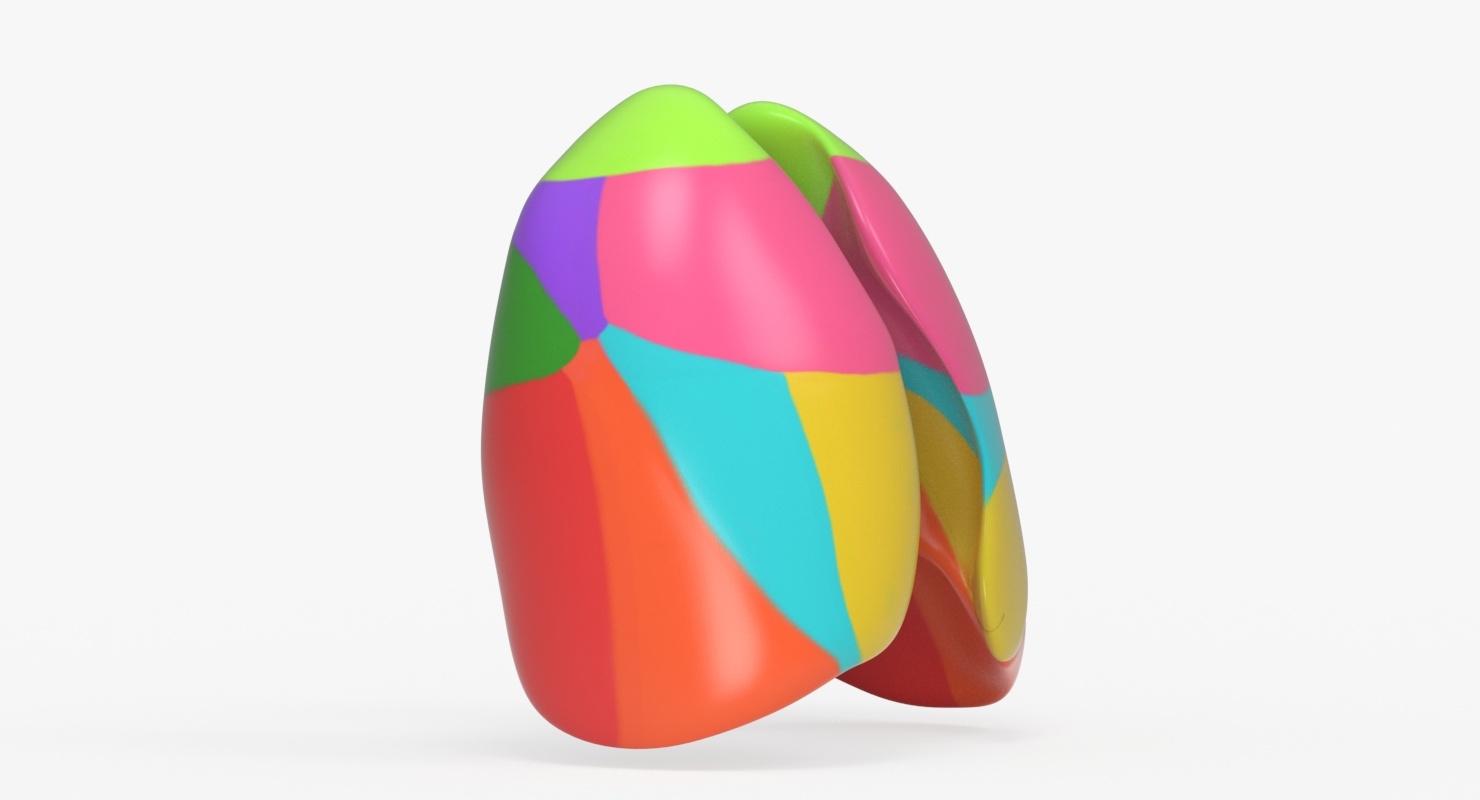 Modello 3D Segmenti anatomici polmonari - TurboSquid 1384492