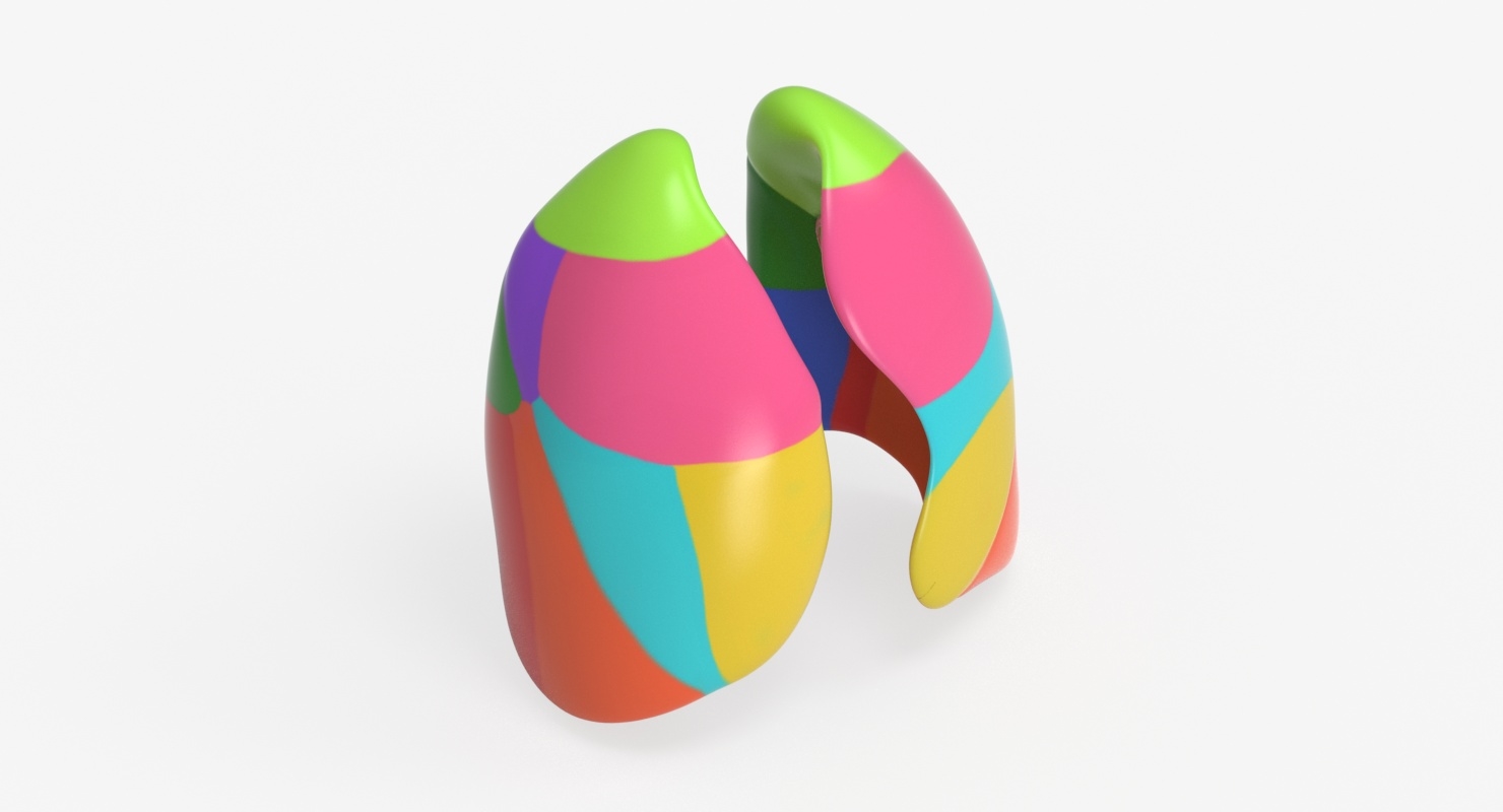 Modello 3D Segmenti anatomici polmonari - TurboSquid 1384492