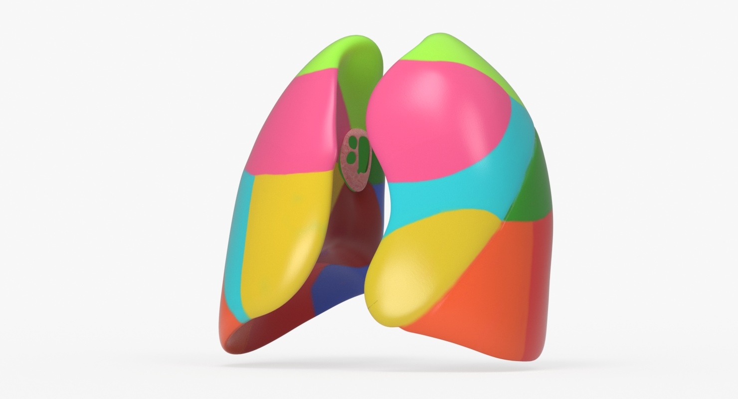 Modello 3D Segmenti anatomici polmonari - TurboSquid 1384492