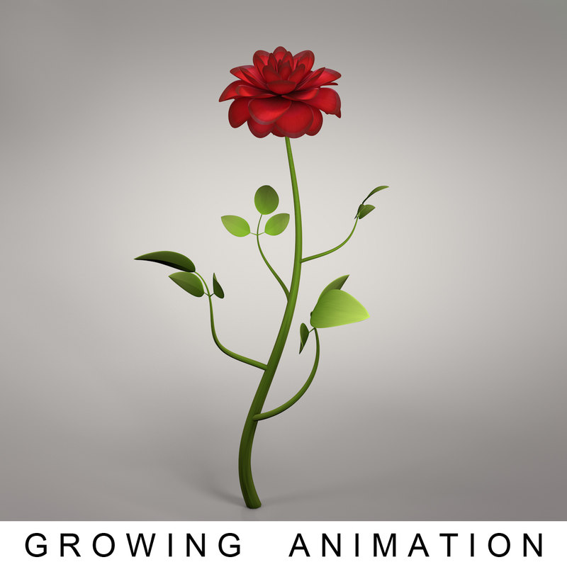 Rose growing 3D - TurboSquid 1378191