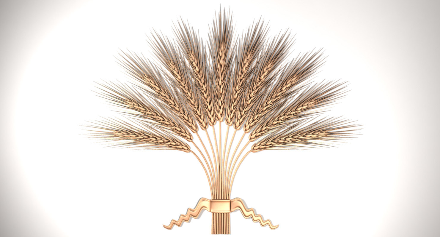 3d wheat composition