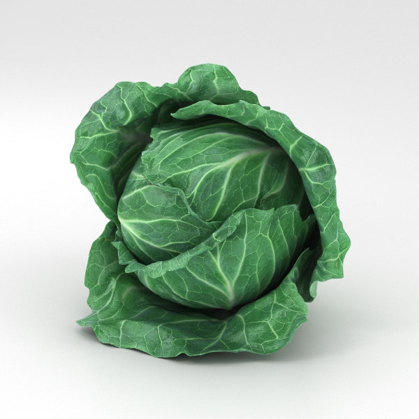 max cabbage