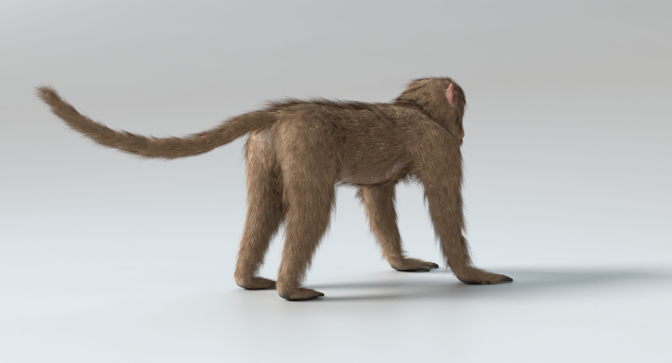 3D monkey animations - TurboSquid 1384680