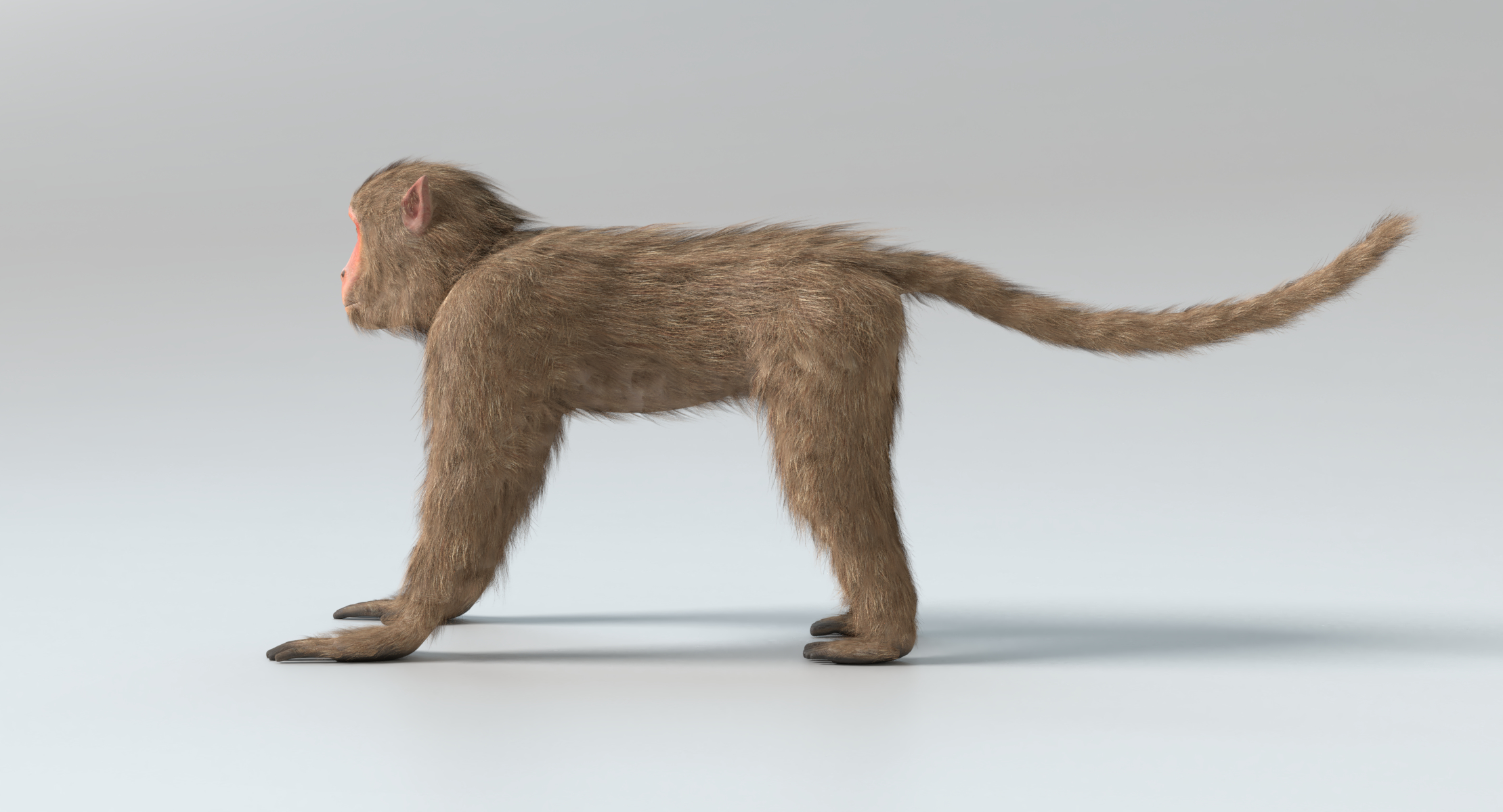 3D monkey animations - TurboSquid 1384680
