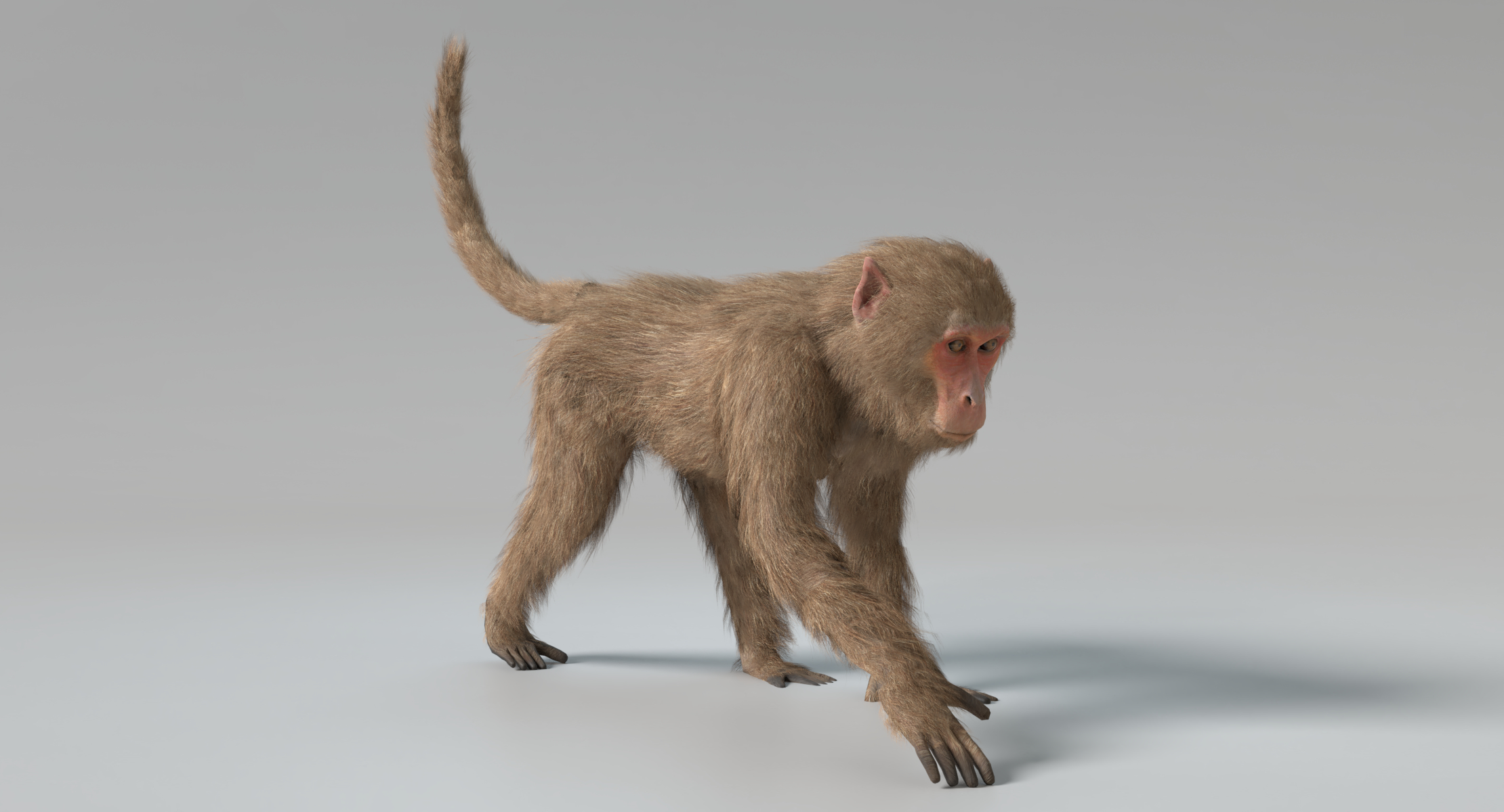 3D monkey animations - TurboSquid 1384680