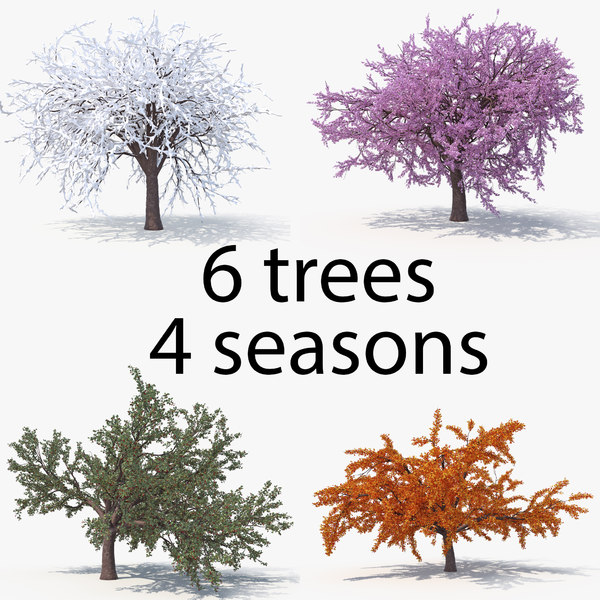 3D model sakura cherry pack 03 - TurboSquid 1398158