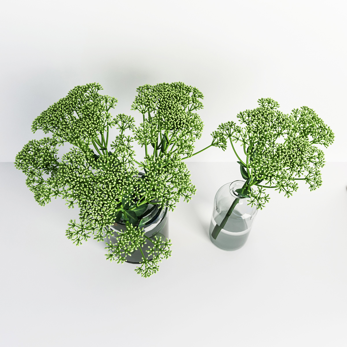 Sedum vases model - TurboSquid 1385029