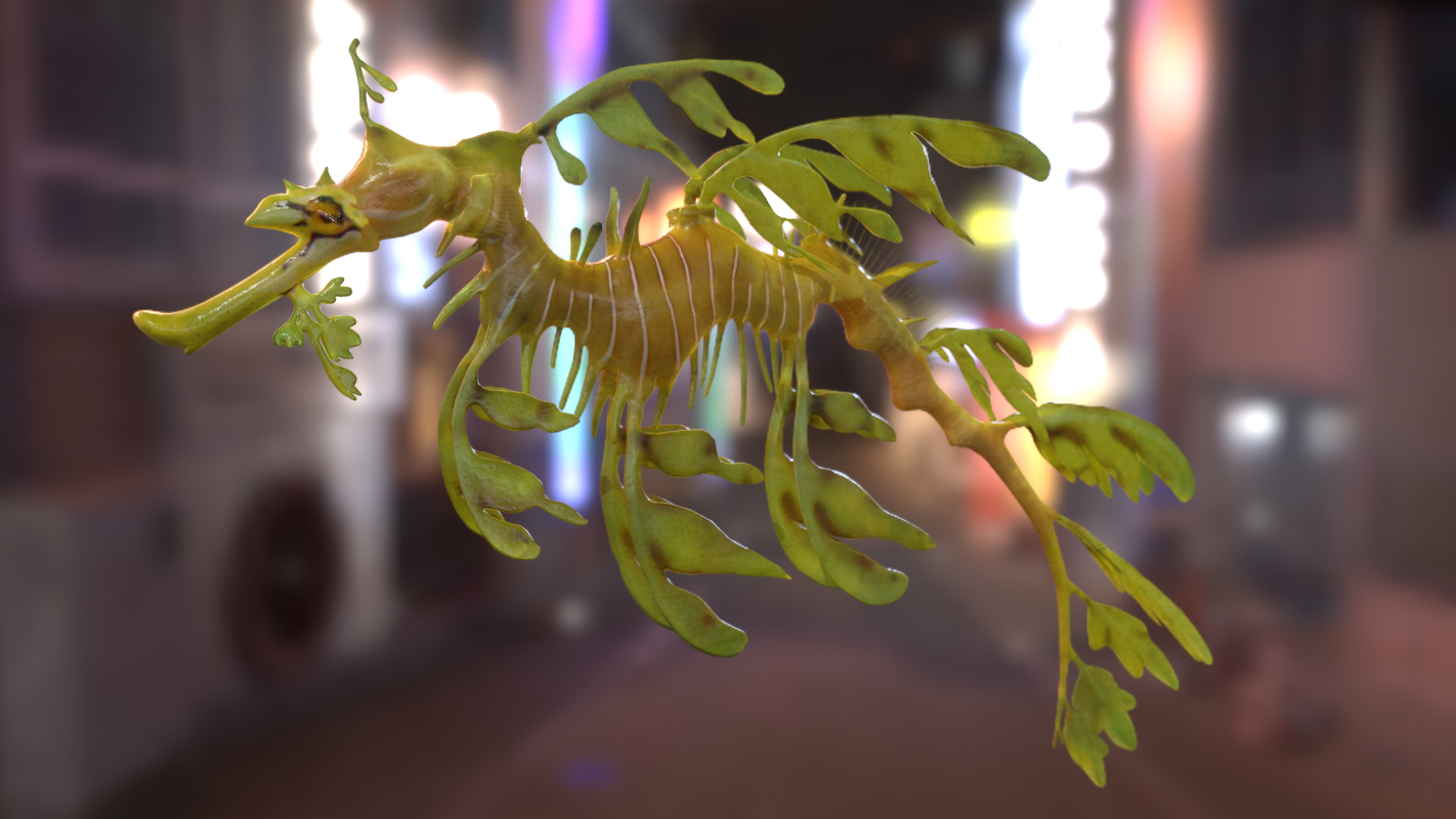 Aquatic animal model - TurboSquid 1385866