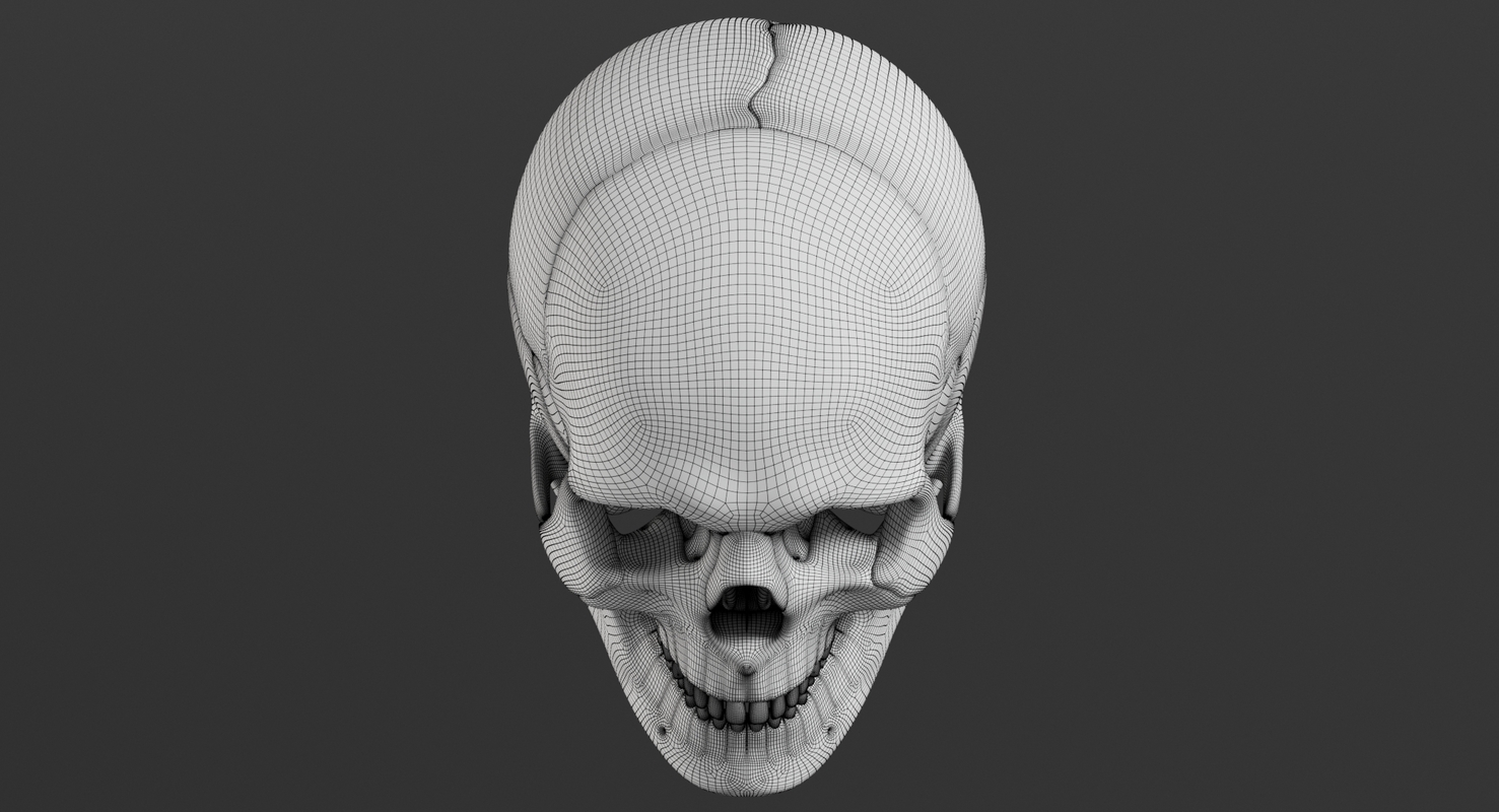 3D male skull - TurboSquid 1385650
