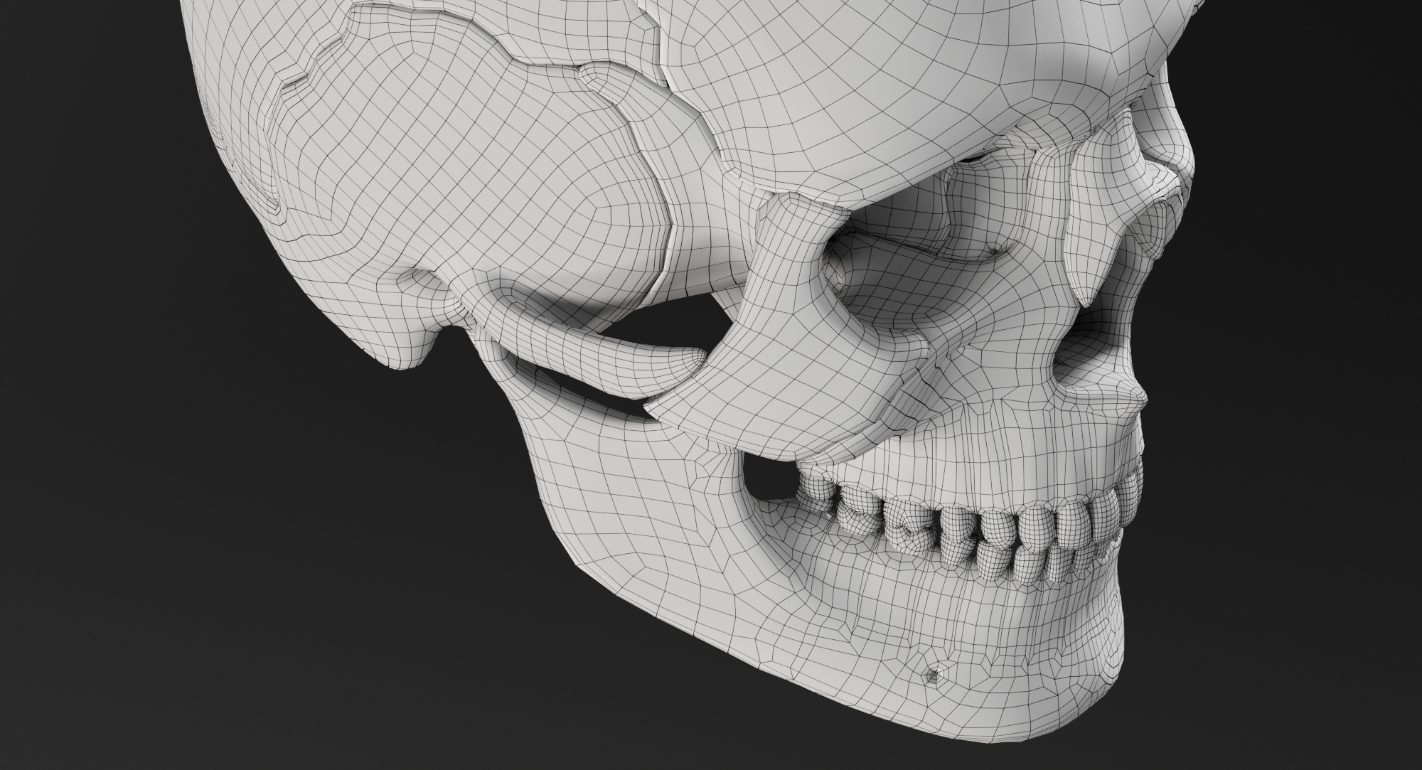 3D male skull - TurboSquid 1385650