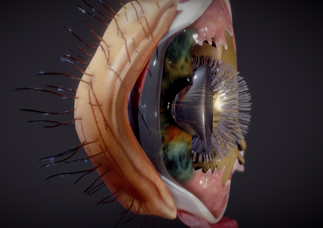 3D eye retina - TurboSquid 1385941