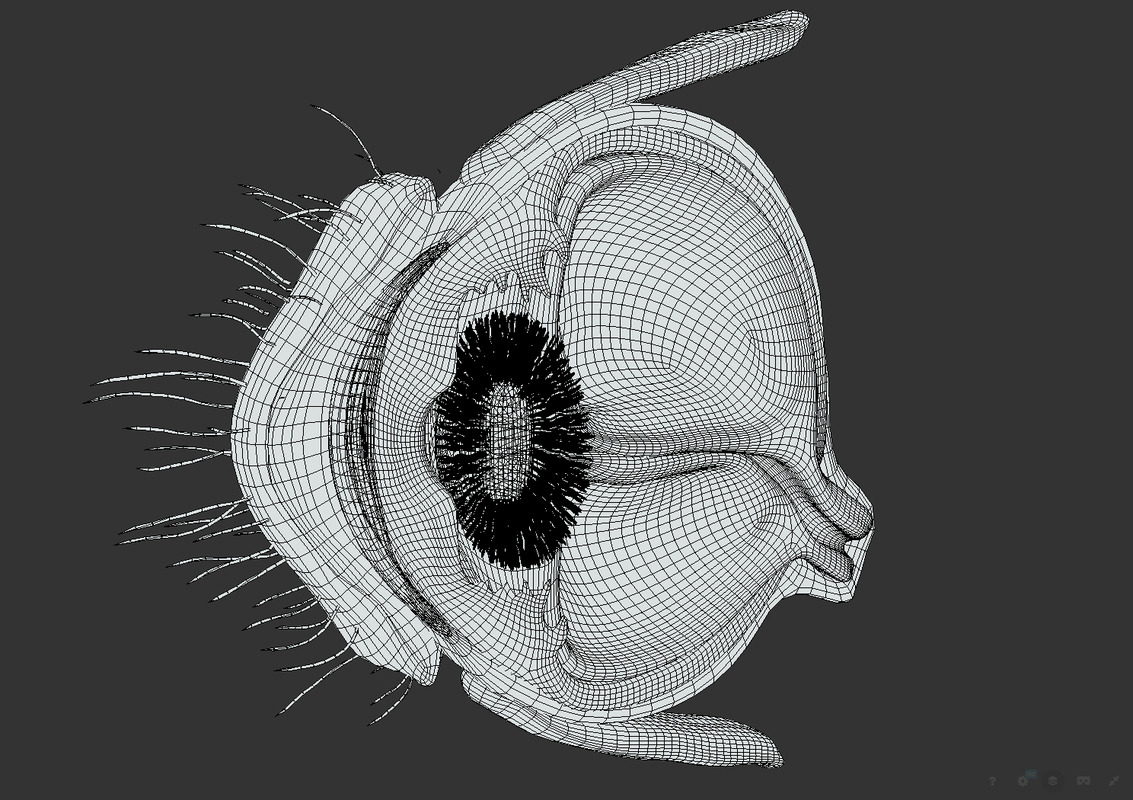 3D eye retina - TurboSquid 1385941