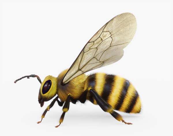 Low Poly Bee 3D Models for Download | TurboSquid