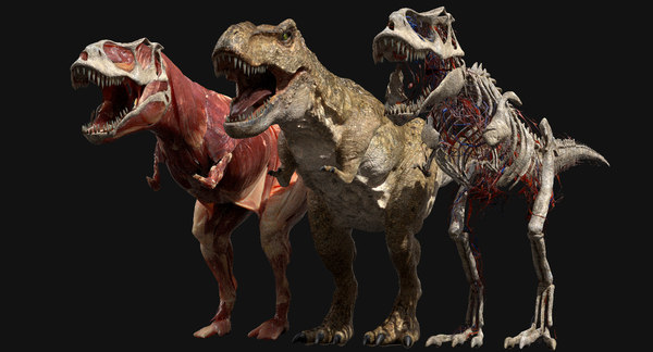 Muscle t rex 3D model - TurboSquid 1386225