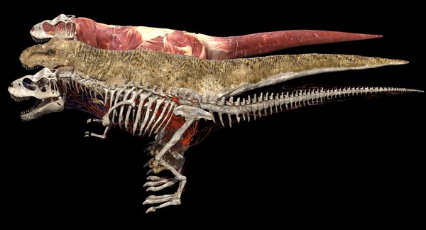 Muscle t rex 3D model - TurboSquid 1386225