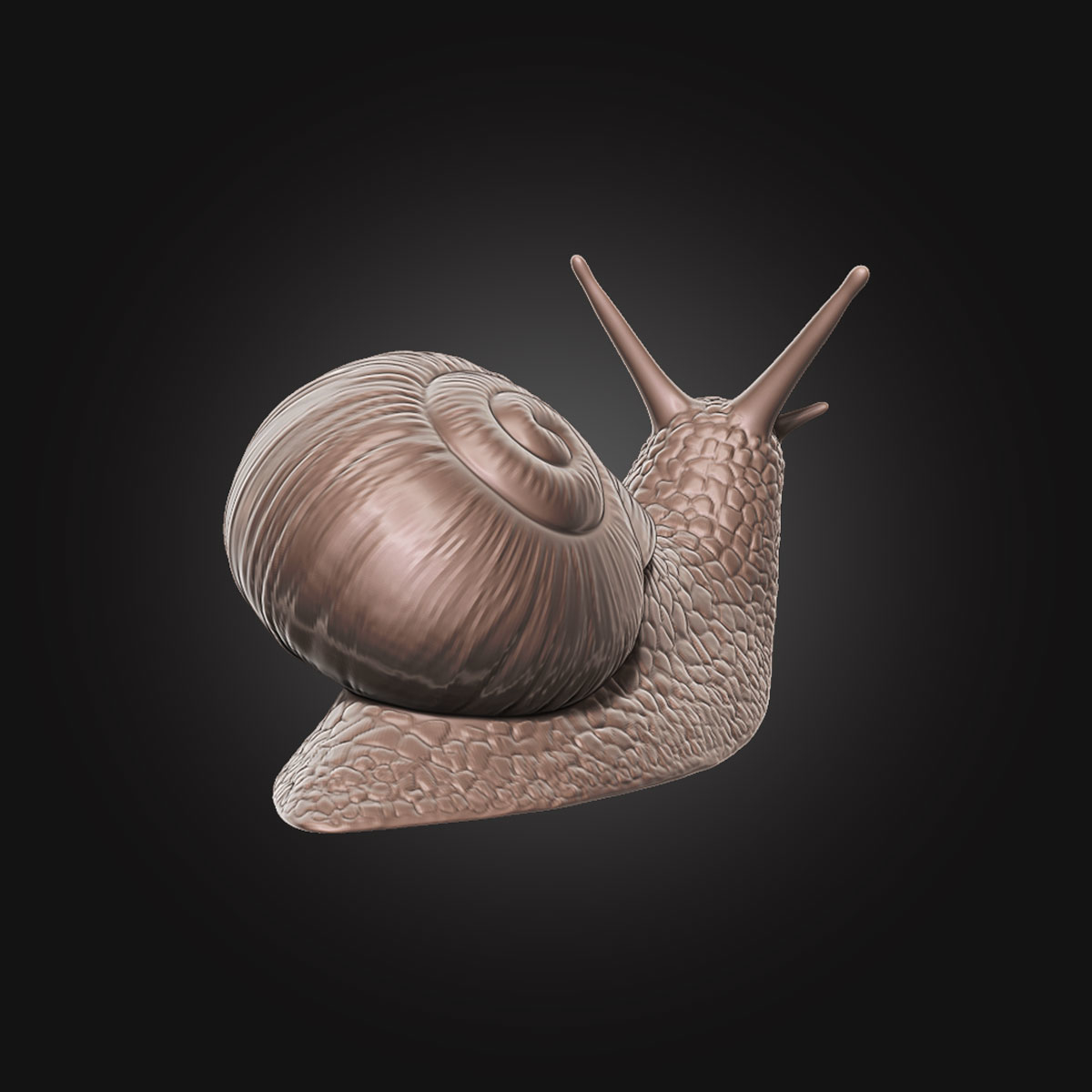 modèle 3D de Escargot impression 3D - TurboSquid 1386218