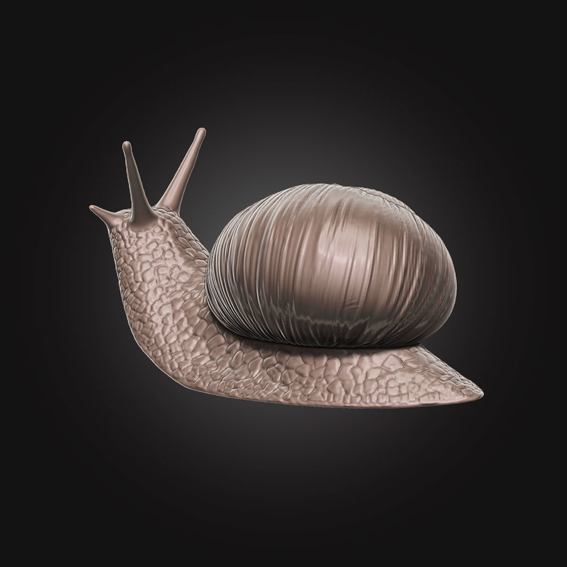 modèle 3D de Escargot impression 3D - TurboSquid 1386218