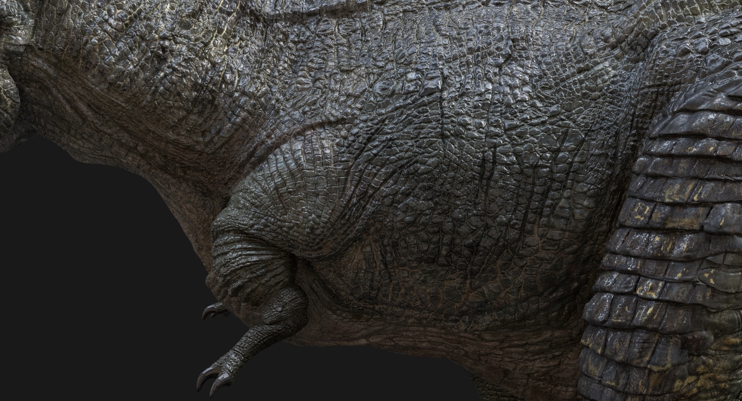 Giganoto giganotosaurus saurus 3D model - TurboSquid 1386298