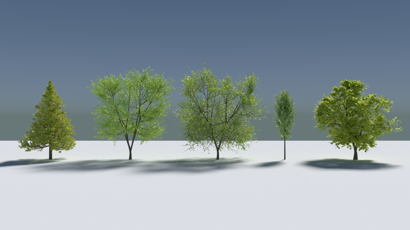 Free pbr realistic tree 3D model - TurboSquid 1386578