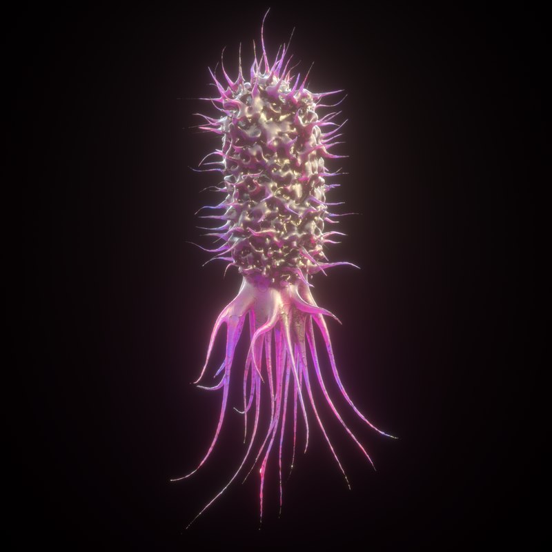 E coli 3D model - TurboSquid 1386605
