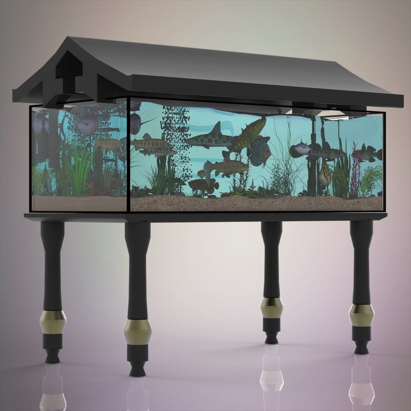 Fish aquarium model - TurboSquid 1387030