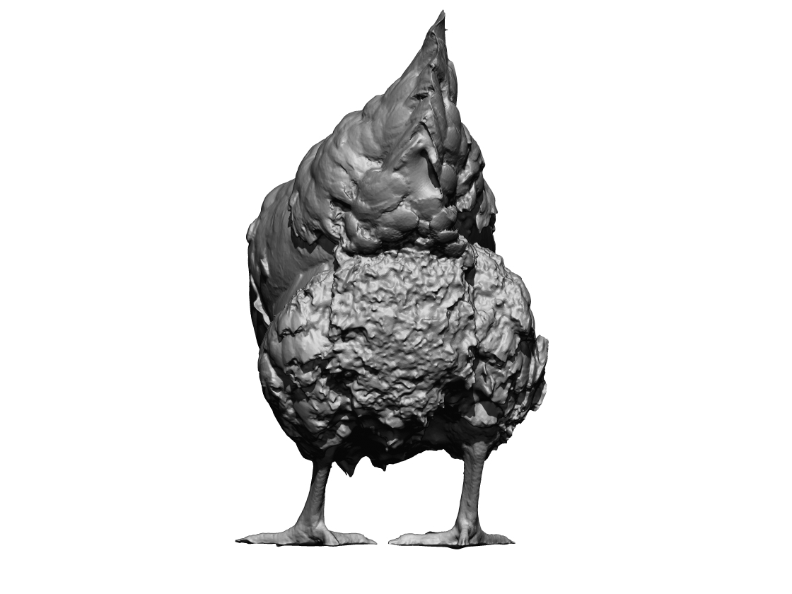 Frango Real 06 - 3d scan Modelo 3D - TurboSquid 1387046