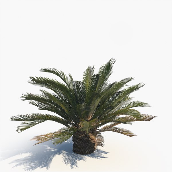 Cycad BroodBoom B3D模型 - TurboSquid 1387098