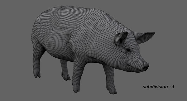Pig 3D model - TurboSquid 1387231
