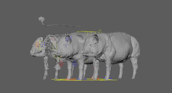 Pig 3D model - TurboSquid 1387231