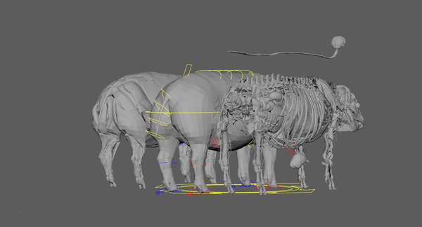 Pig 3D model - TurboSquid 1387231