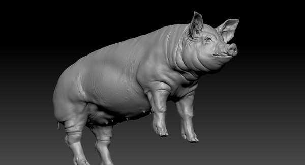Pig 3D model - TurboSquid 1387231