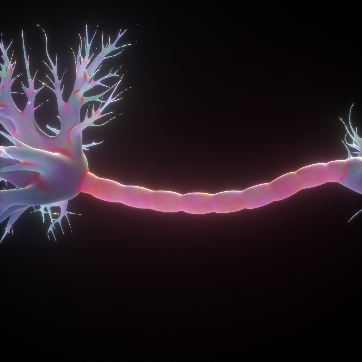 Modello 3D Neurone Anatomia umana - TurboSquid 1387457