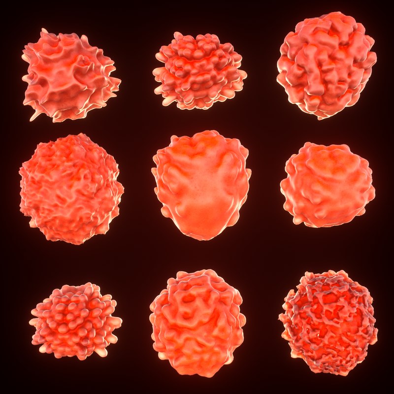 3D model t lymphocytes - TurboSquid 1387990