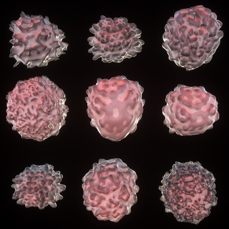 3D model t lymphocytes - TurboSquid 1388084